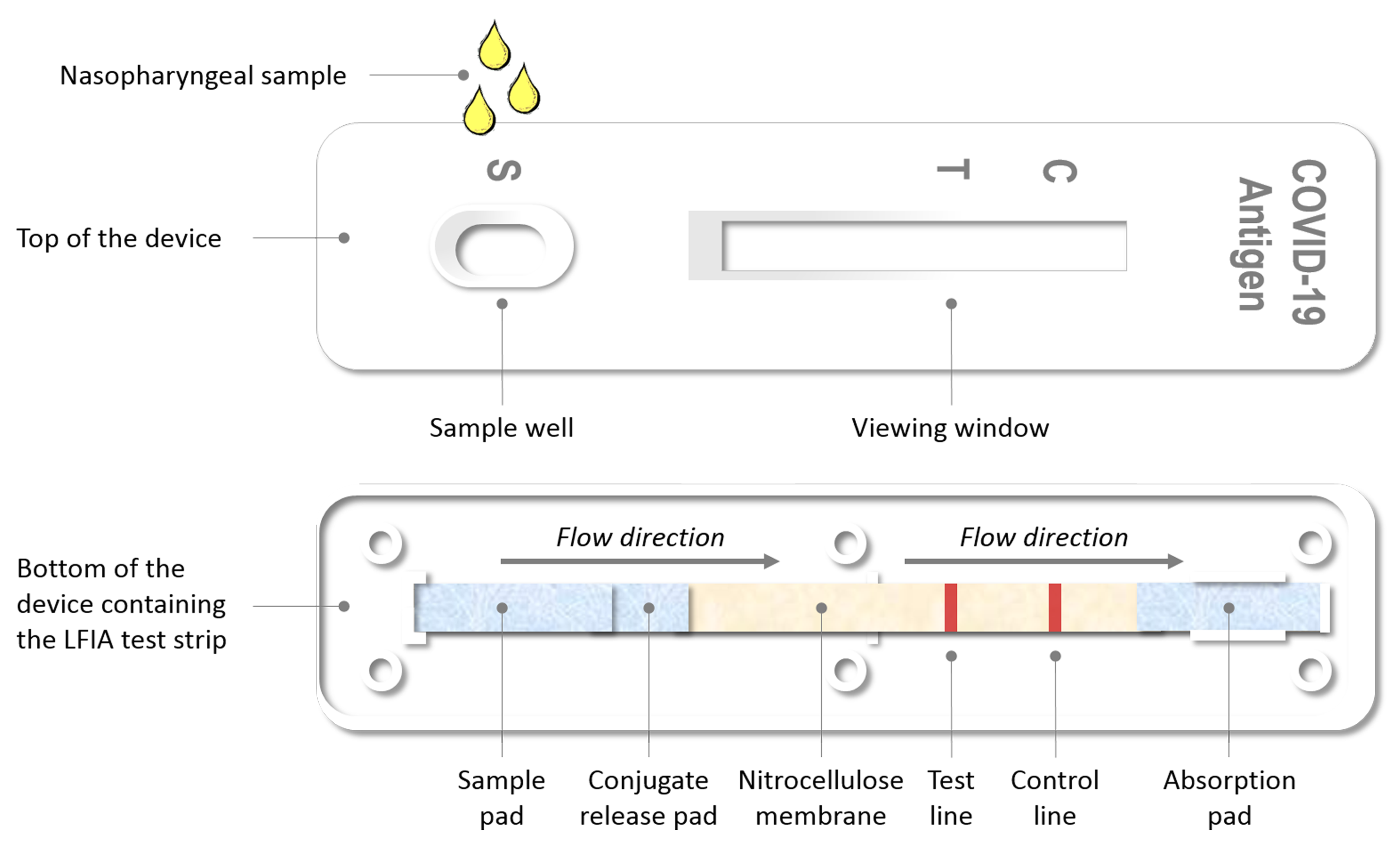 BioMed | Free Full-Text | Augmented Sensitivity of At-Home Rapid SARS ...