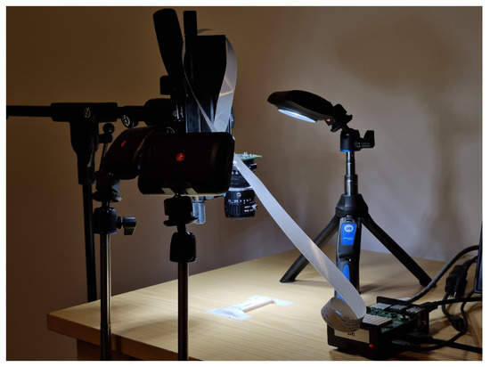 BioMed | An Open Access Journal from MDPI