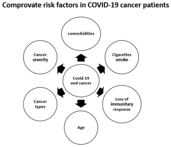 BioMed | An Open Access Journal from MDPI