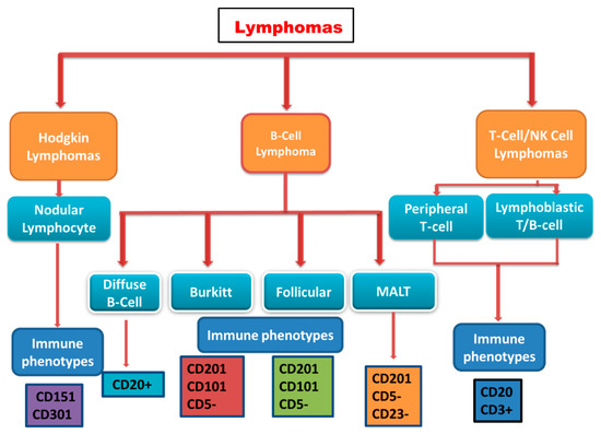 BioMed | An Open Access Journal from MDPI