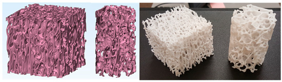 Characterization of Microarchitectures, Stiffness and Strength of Human ...