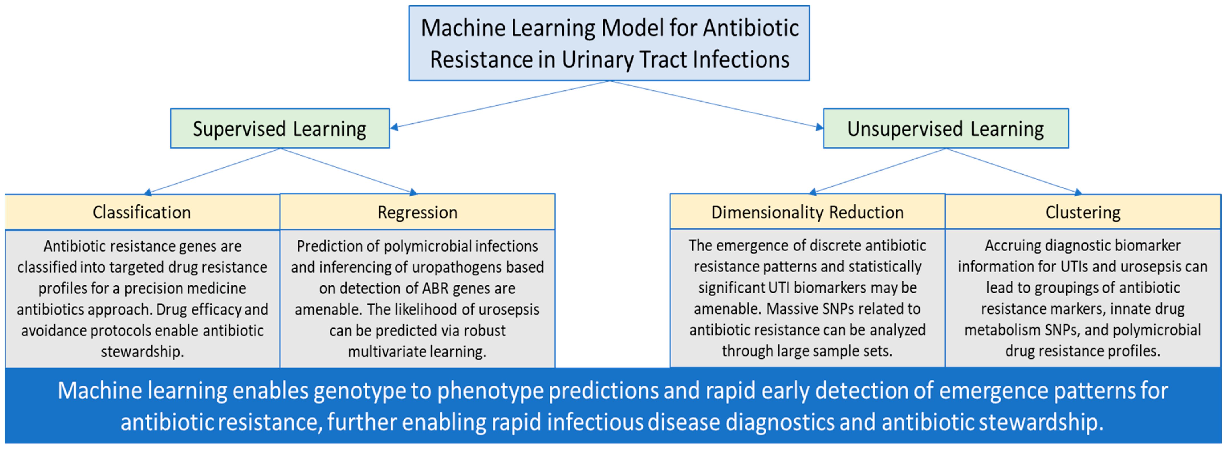 BioMed | Free Full-Text | Machine Learning and Artificial Intelligence ...