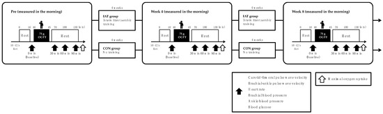 Regular Intermittent Aerobic Exercise Reduces Arterial Stiffness ...
