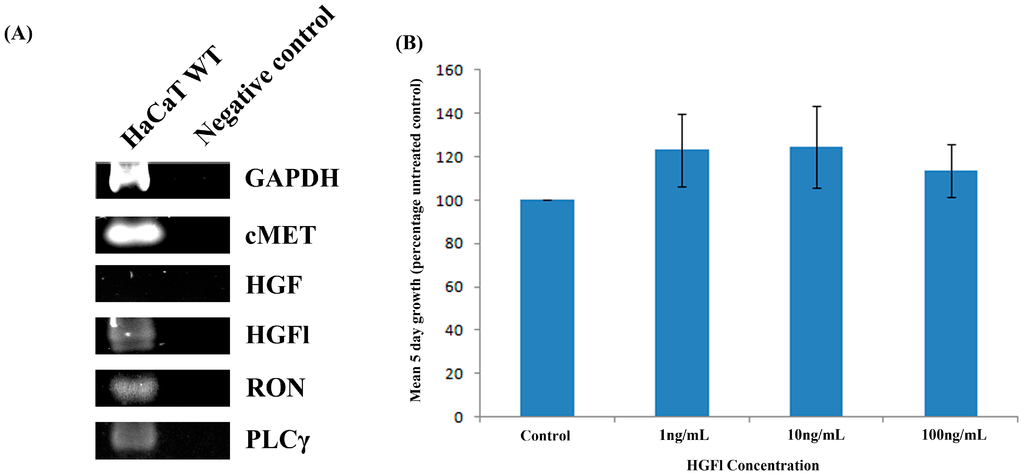 Expression of Hepatocyte Growth Factor-Like Protein in Human Wound ...