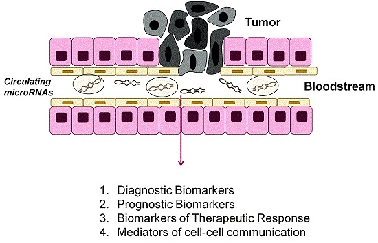Biomedicines | Free Full-Text | Circulating MicroRNAs as Biomarkers and ... Biomedicines | Free Full-Text | Circulating MicroRNAs as Biomarkers and ...