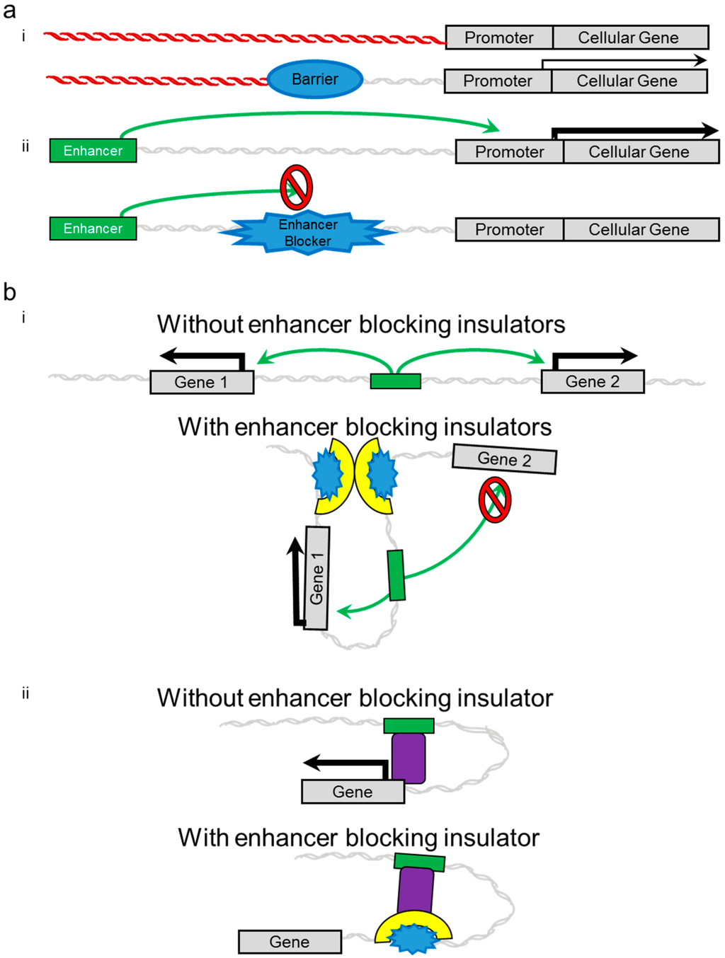 Insulators to Improve the Safety of Retroviral Vectors for HIV Gene Therapy