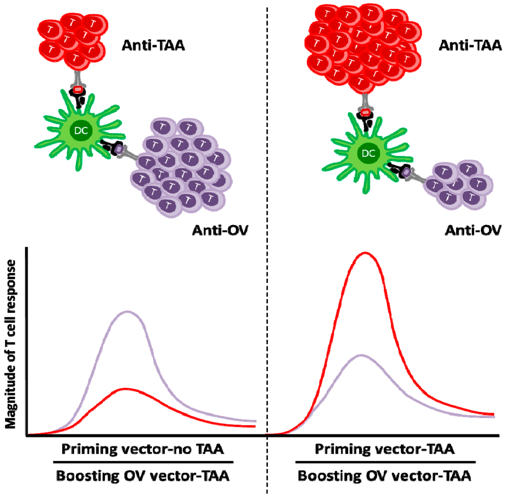Biomedicines | Special Issue : Oncolytic Viruses as a Novel Form of ... Biomedicines | Special Issue : Oncolytic Viruses as a Novel Form of ...