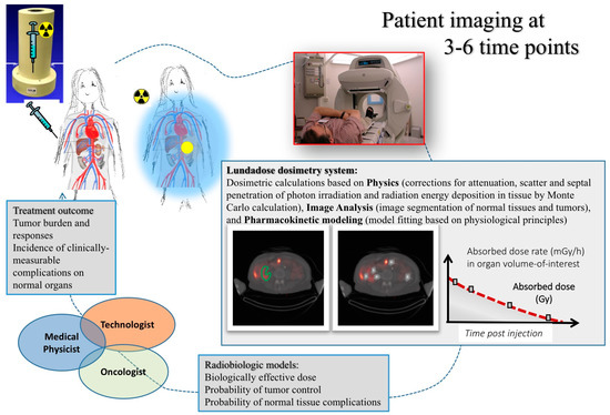 Personalized Dosimetry for Radionuclide Therapy Using Molecular Imaging ...