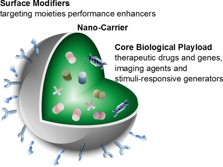 Biomedicines | Free Full-Text | Nano-Magnetic Resonance Imaging (Nano ... Biomedicines | Free Full-Text | Nano-Magnetic Resonance Imaging (Nano ...