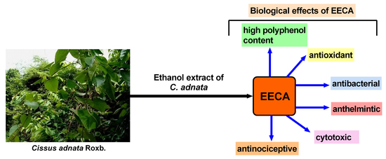 Biomedicines Special Issue Plant Derived Biomedicines