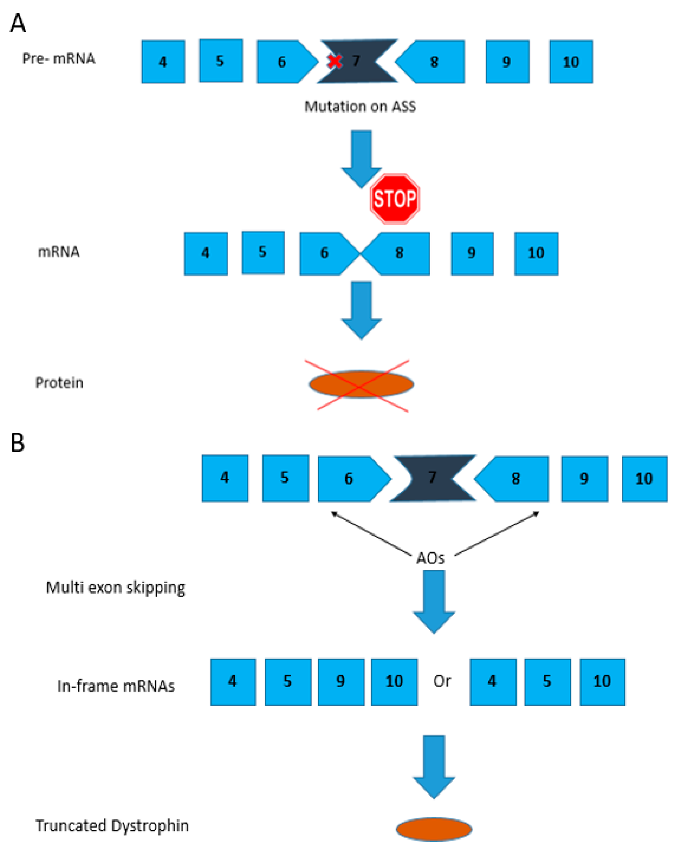 Biomedicines | Free Full-Text | Skipping Multiple Exons to Treat DMD ...