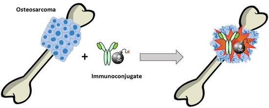 Biomedicines Free Full Text Immunoconjugates For Osteosarcoma