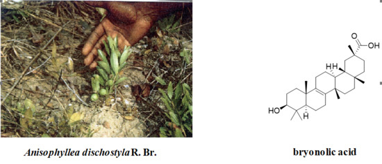 Biomedicines Special Issue Plant Derived Biomedicines