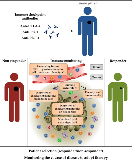 Biomedicines | Free Full-Text | Immune Monitoring of Cancer Patients ... Biomedicines | Free Full-Text | Immune Monitoring of Cancer Patients ...