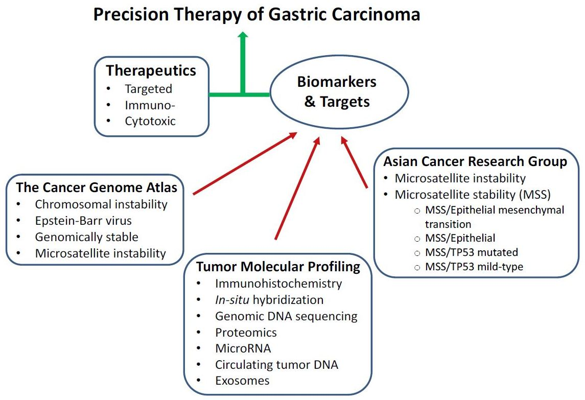 Biomedicines Free Full Text Molecular Characterization Of Gastric