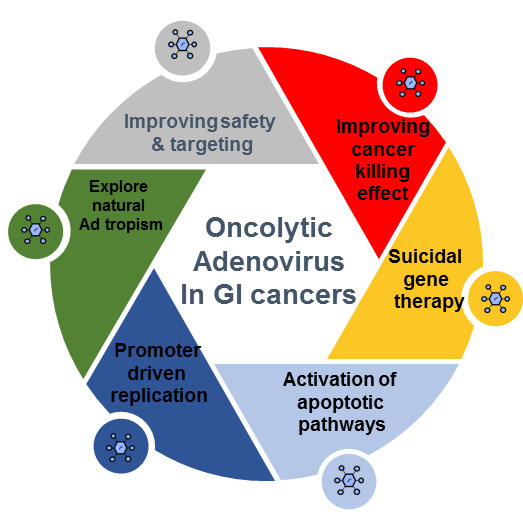 Biomedicines | Free Full-Text | Oncolytic Adenoviruses in ... Biomedicines | Free Full-Text | Oncolytic Adenoviruses in ...