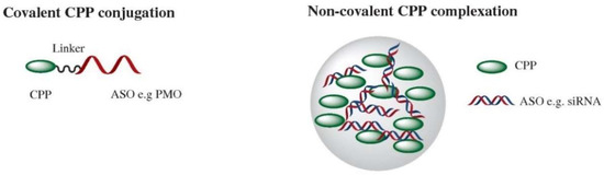 Cell-Penetrating Peptides to Enhance Delivery of Oligonucleotide-Based ...