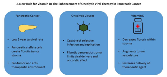 Biomedicines | Free Full-Text | A New Role for Vitamin D: The ... Biomedicines | Free Full-Text | A New Role for Vitamin D: The ...