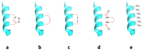 Biomedicines | Free Full-Text | Constrained α-Helical Peptides as ...