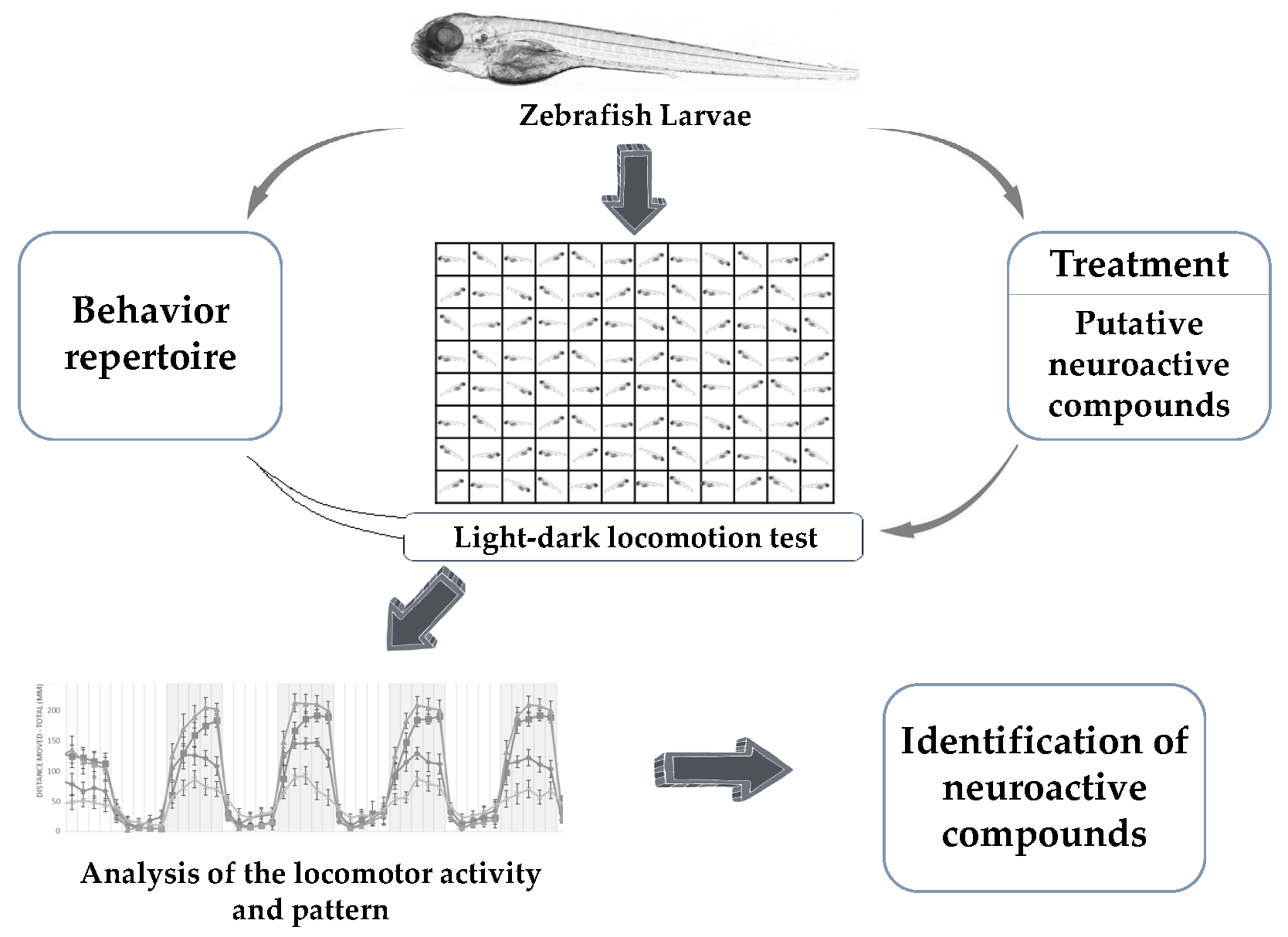 Biomedicines | Free Full-Text | Zebrafish Larvae as a Behavioral Model ...