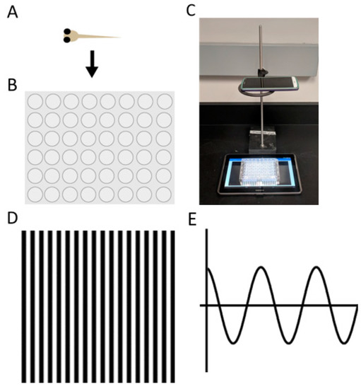 Biomedicines | Special Issue : Zebrafish Models for Development and Disease Biomedicines | Special Issue : Zebrafish Models for Development and Disease
