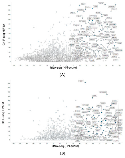Meta-Analysis of Hypoxic Transcriptomes from Public Databases