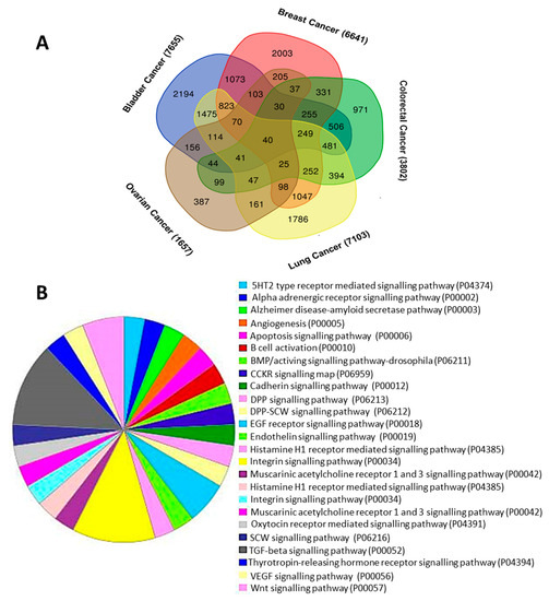 A Multi-Omics Analysis of Bone Morphogenetic Protein 5 (BMP5) mRNA ...