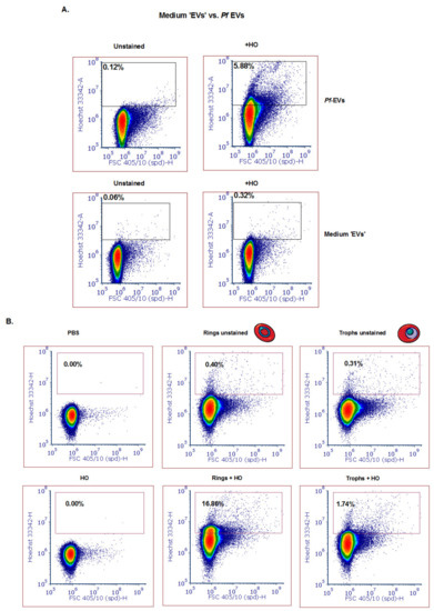 Antibody-Free Labeling of Malaria-Derived Extracellular Vesicles Using ...
