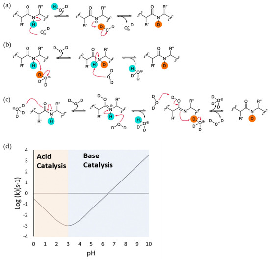 HDX-MS: An Analytical Tool to Capture Protein Motion in Action