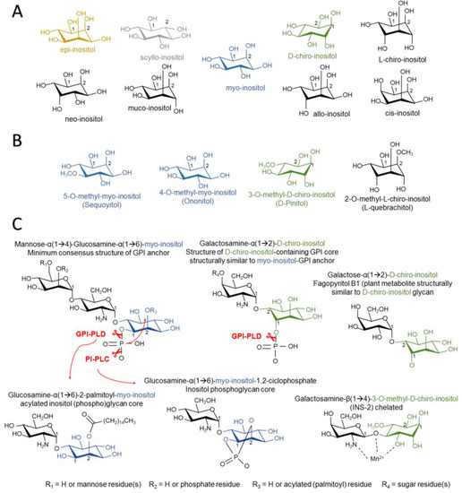 The Biomedical Uses of Inositols: A Nutraceutical Approach to Metabolic ...