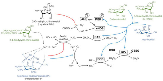 The Biomedical Uses of Inositols: A Nutraceutical Approach to Metabolic ...