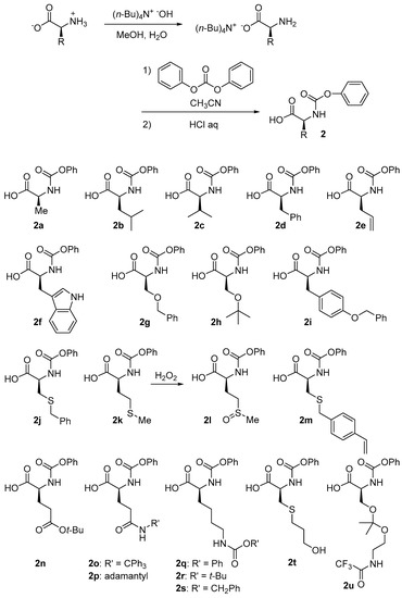 Well-Defined Construction of Functional Macromolecular Architectures ...