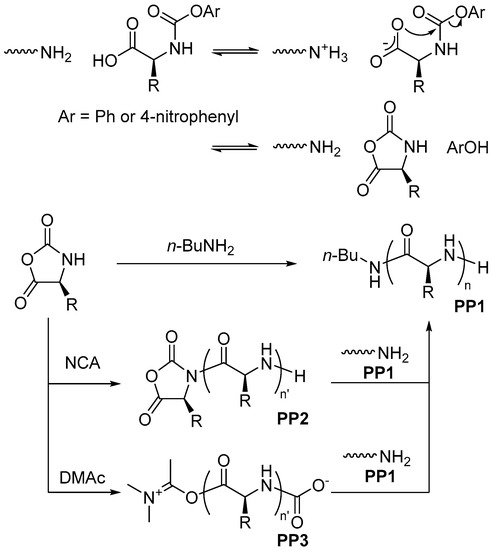 Well-Defined Construction of Functional Macromolecular Architectures ...