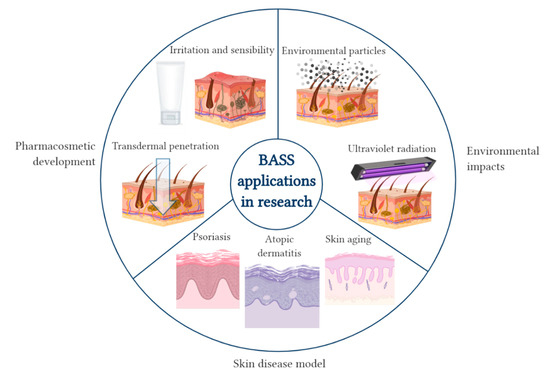 Bioengineered Skin Intended as In Vitro Model for Pharmacosmetics, Skin ...