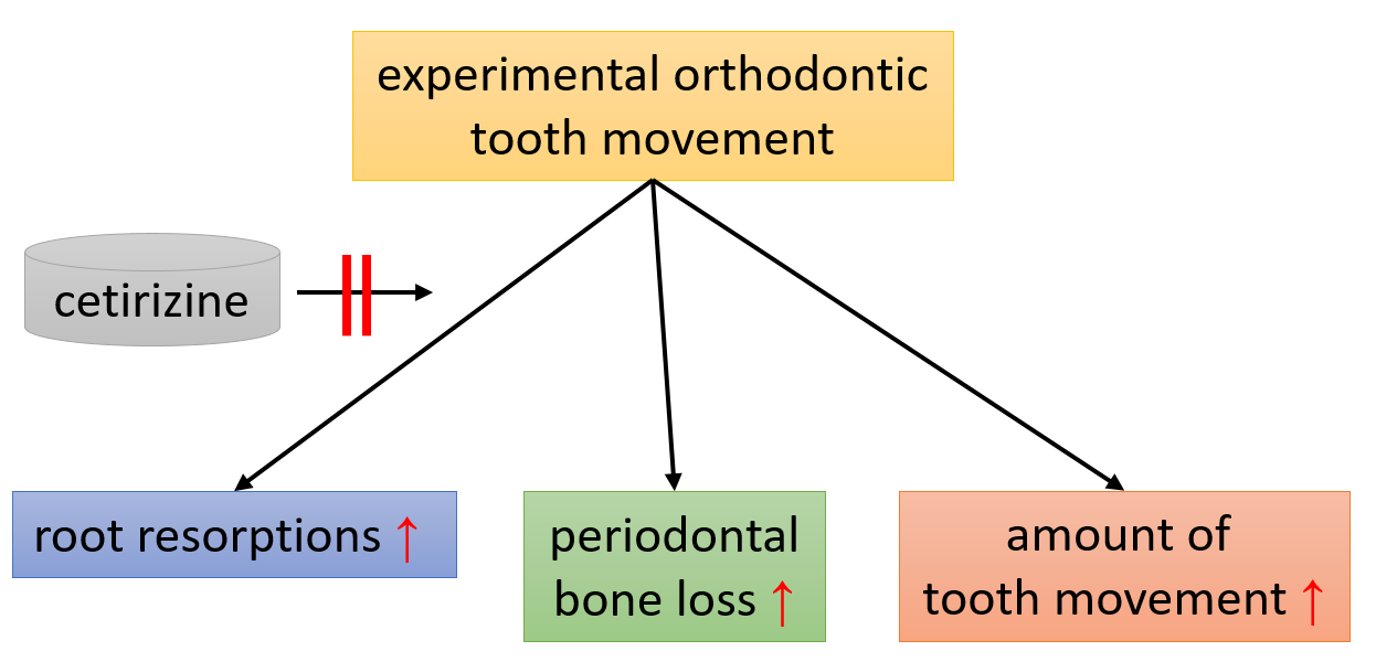Biomedicines | Free Full-Text | Effects of Histamine Receptor ...