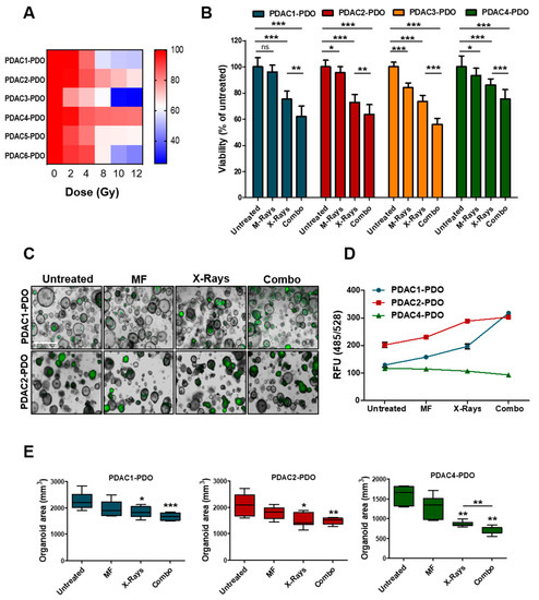 Combinatorial Effect of Magnetic Field and Radiotherapy in PDAC ...