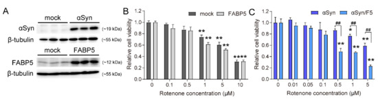 Epidermal Fatty Acid-Binding Protein 5 (FABP5) Involvement in Alpha ...
