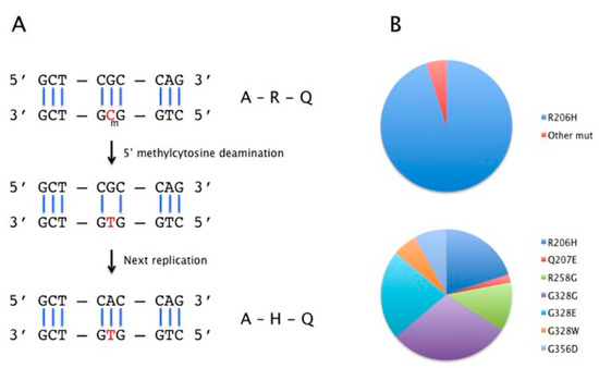 Genomic Context and Mechanisms of the ACVR1 Mutation in Fibrodysplasia ...