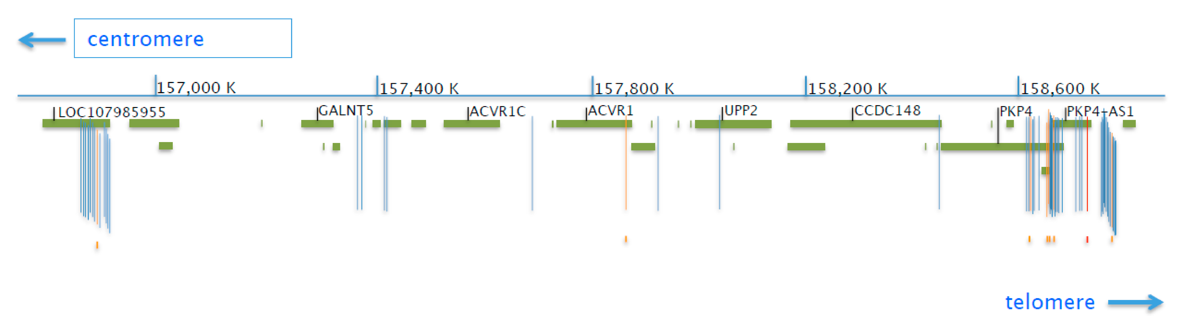 Genomic Context and Mechanisms of the ACVR1 Mutation in Fibrodysplasia ...