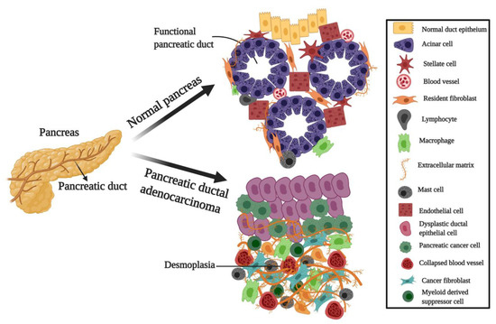 Biomedicines | Special Issue : Pancreatic Ductal Adenocarcinoma: From ... Biomedicines | Special Issue : Pancreatic Ductal Adenocarcinoma: From ...