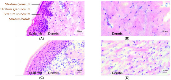Probing Skin Barrier Recovery on Molecular Level Following Acute Wounds ...