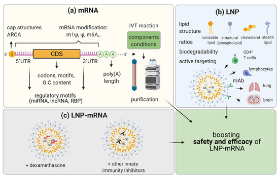 Non-Immunotherapy Application of LNP-mRNA: Maximizing Efficacy and Safety