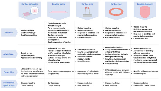 Cardiac Organoids to Model and Heal Heart Failure and Cardiomyopathies