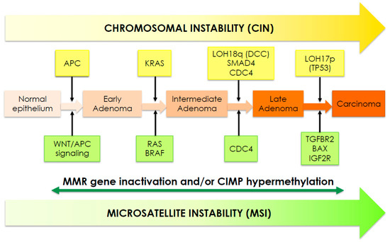 Identifying Novel Actionable Targets in Colon Cancer