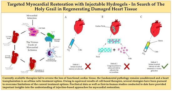 Biomedicines | Free Full-Text | Targeted Myocardial Restoration with ...