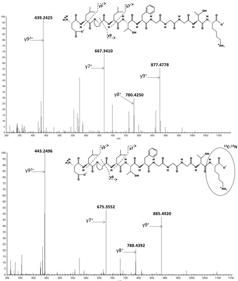 Analysis of Pembrolizumab in Human Plasma by LC-MS/HRMS. Method ...