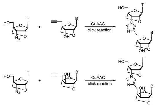 Triazole-Modified Nucleic Acids for the Application in Bioorganic and ...
