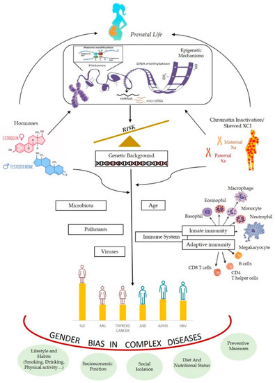 Gender Specific Differences in Disease Susceptibility: The Role of ...
