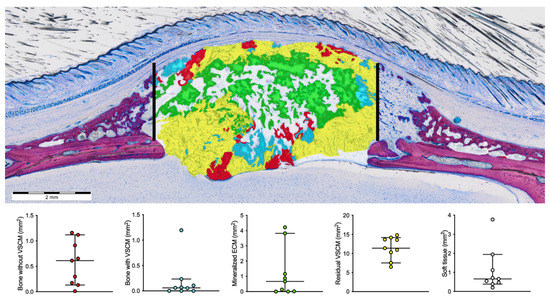 Osteoconductive Properties of a Volume-Stable Collagen Matrix in Rat ...