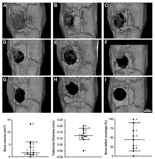 Osteoconductive Properties of a Volume-Stable Collagen Matrix in Rat ...